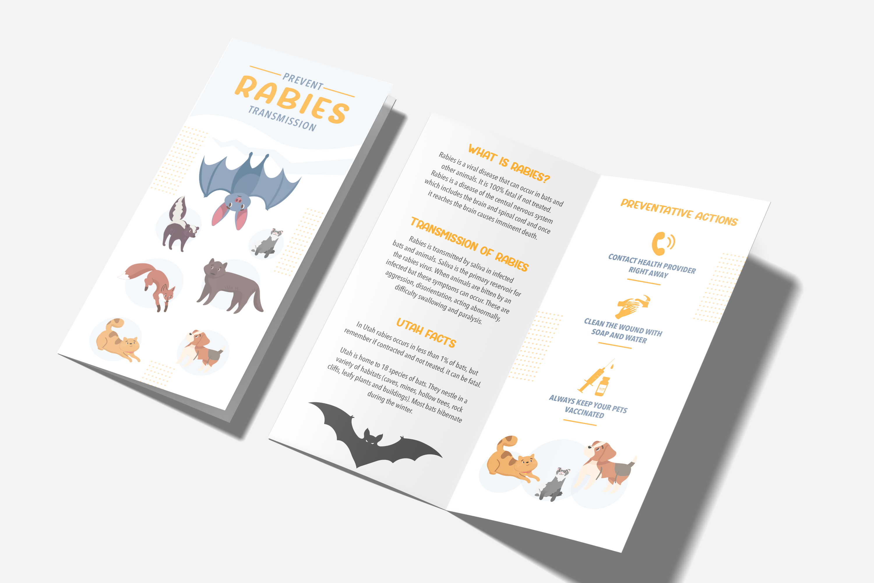 Rabies Brochure – Kalie Summers
